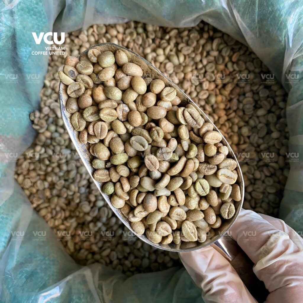 Robusta Honey - VCU - Vietnam Coffee United