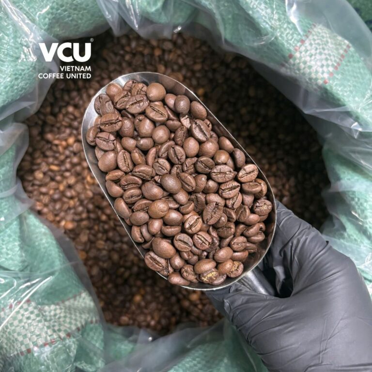 Robusta Coffee - VCU - VietNam Coffee United