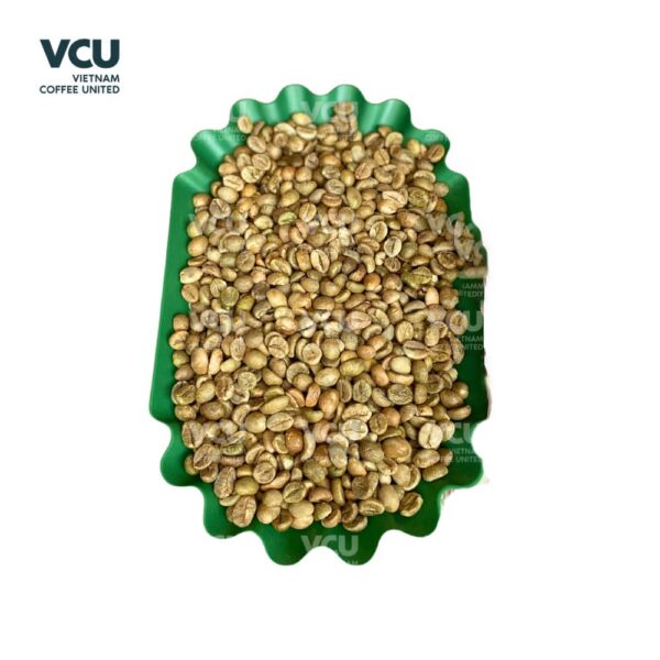 Robusta Green Beans Coffee - VCU - VietNam Coffee United