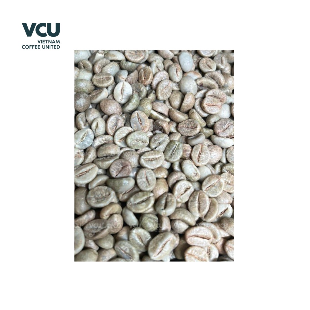 Robusta Natural - VCU - VietNam Coffee United