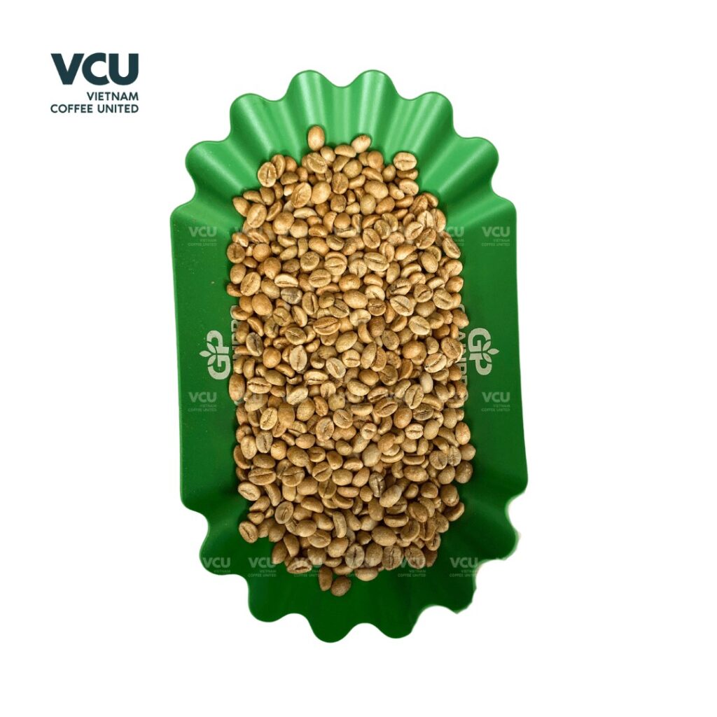Fine Robusta Vietnam| VCU JSC | Vietnam Coffee United