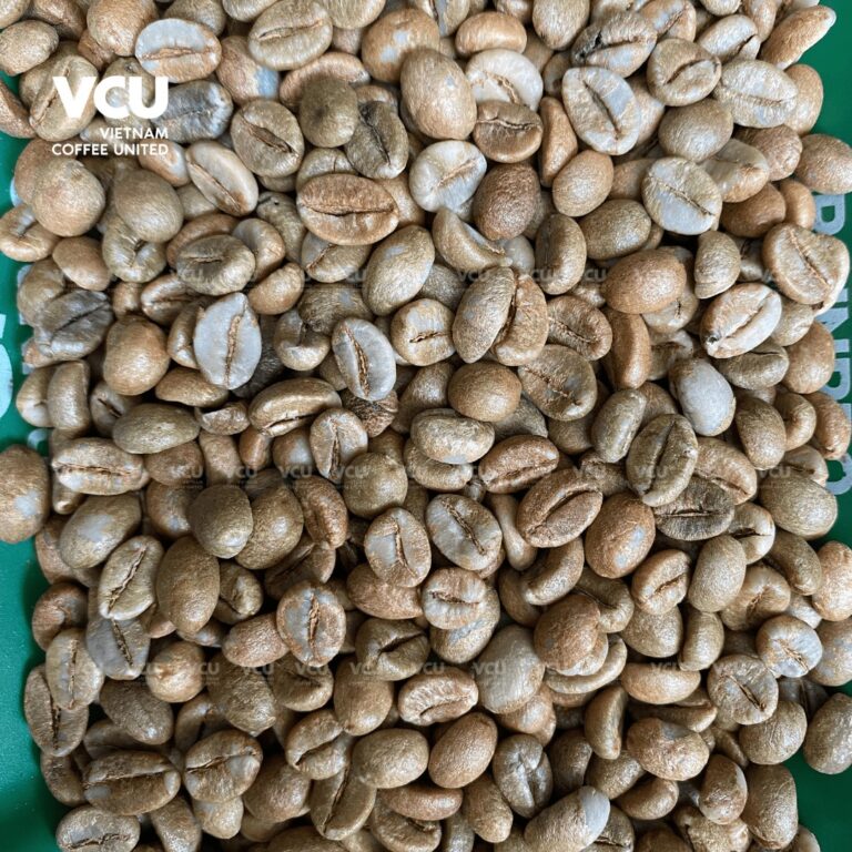 Fine Robusta Vietnam| VCU JSC | Vietnam Coffee United