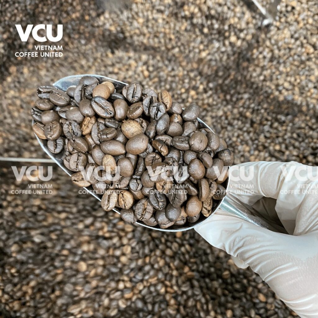 Roasted Clean Robusta - VCU - VietNam Coffee United