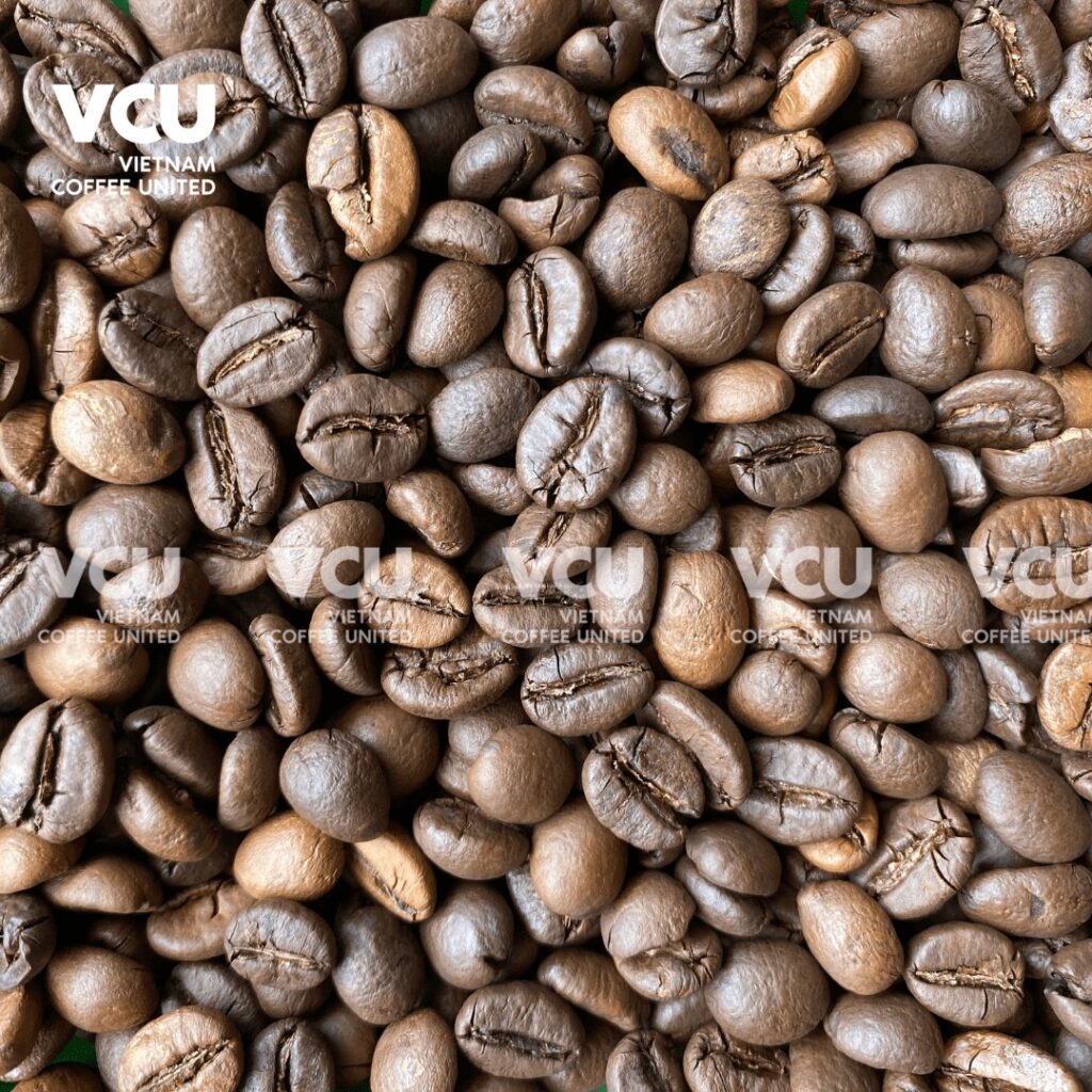 Roasted Clean Robusta - VCU - VietNam Coffee United