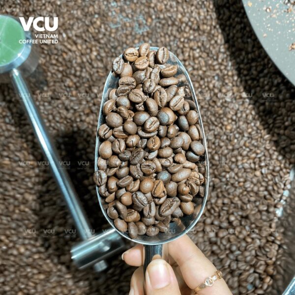 Roasted Fine Robusta | VCU JSC | Vietnam Coffee United