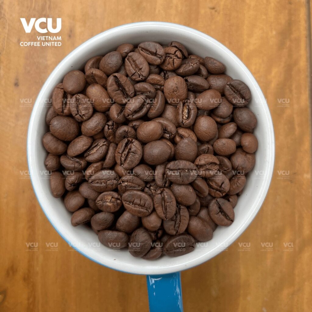 Roasted Fine Robusta | VCU JSC | Vietnam Coffee United