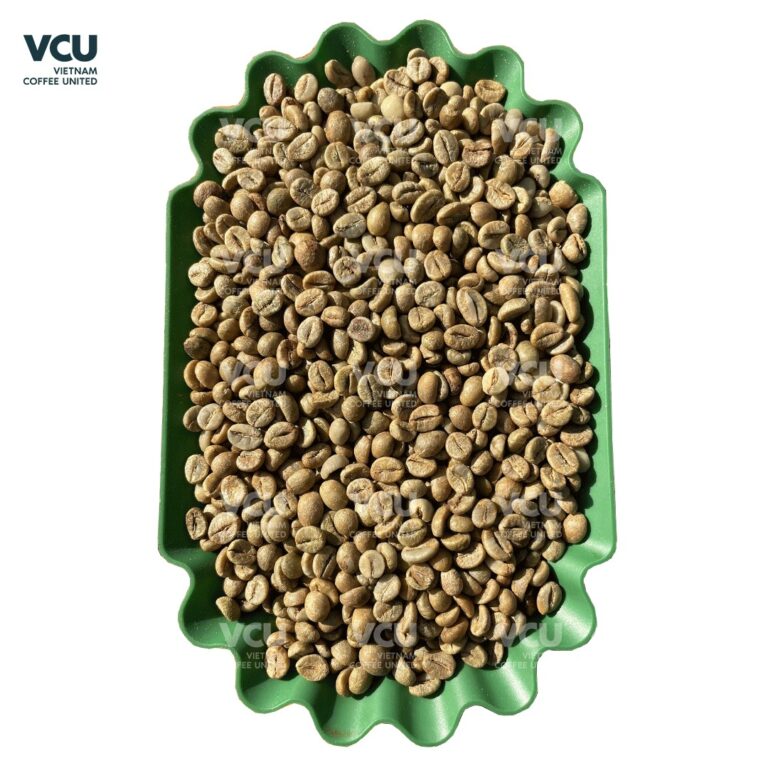 Robusta Green Beans Coffee - VCU - VietNam Coffee United