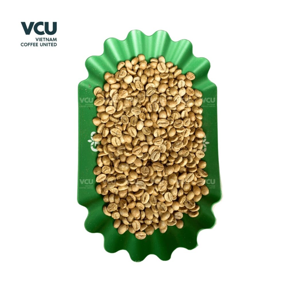 Robusta Green Beans Coffee - VCU - VietNam Coffee United