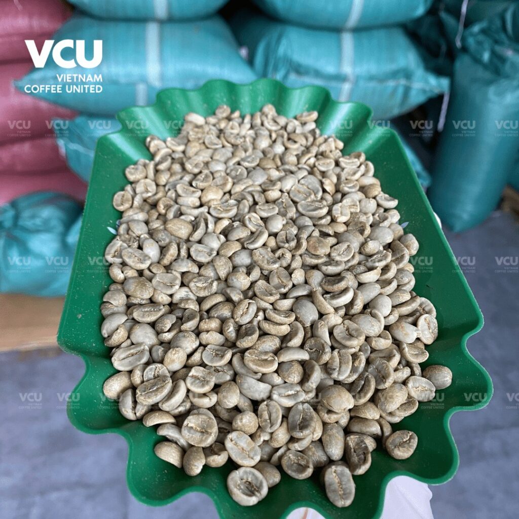 Arabica Full Washed Cau Dat - VCU - VietNam Coffee United