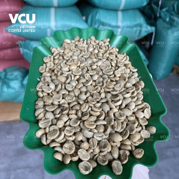 Arabica Full Washed Cau Dat - VCU - VietNam Coffee United