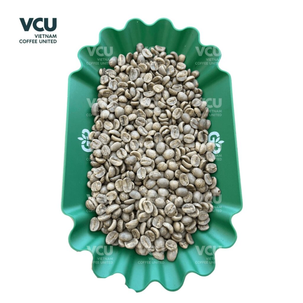 Arabica Full Washed Cau Dat - VCU - VietNam Coffee United