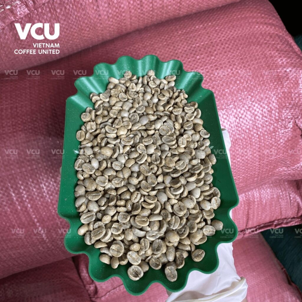 Arabica Full Washed Cau Dat - VCU - VietNam Coffee United