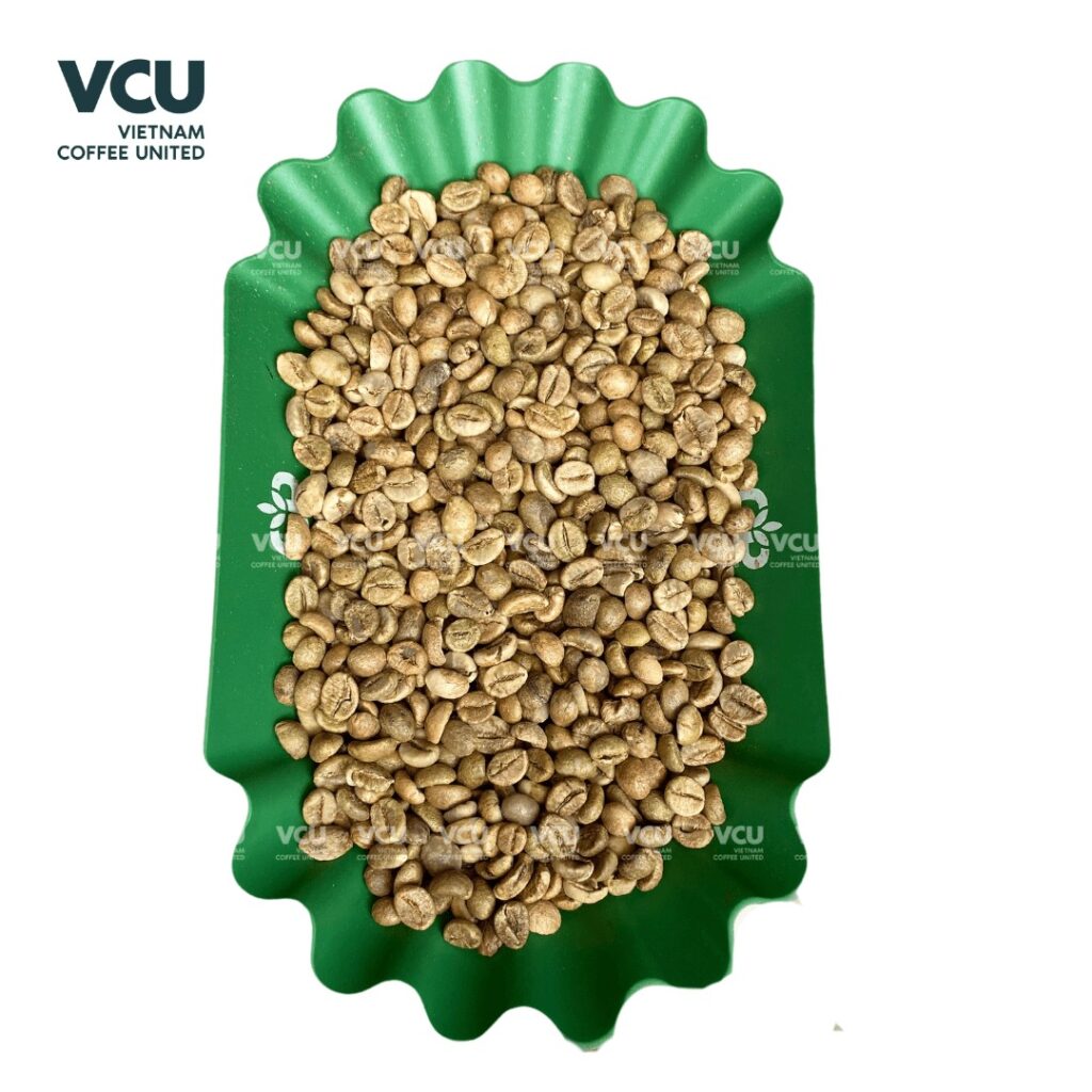 Unwashed Robusta Clean - VCU - VietNam Coffee United