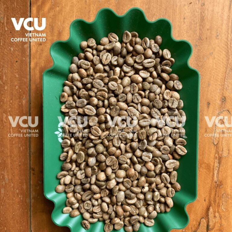 Unwashed Robusta Clean - VCU - VietNam Coffee United