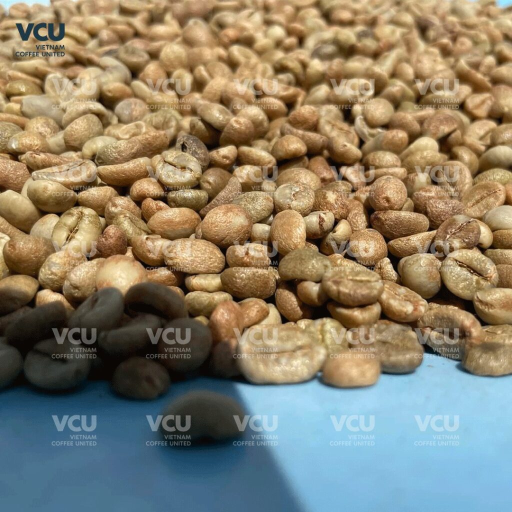 Robusta Honey - VCU - Vietnam Coffee United