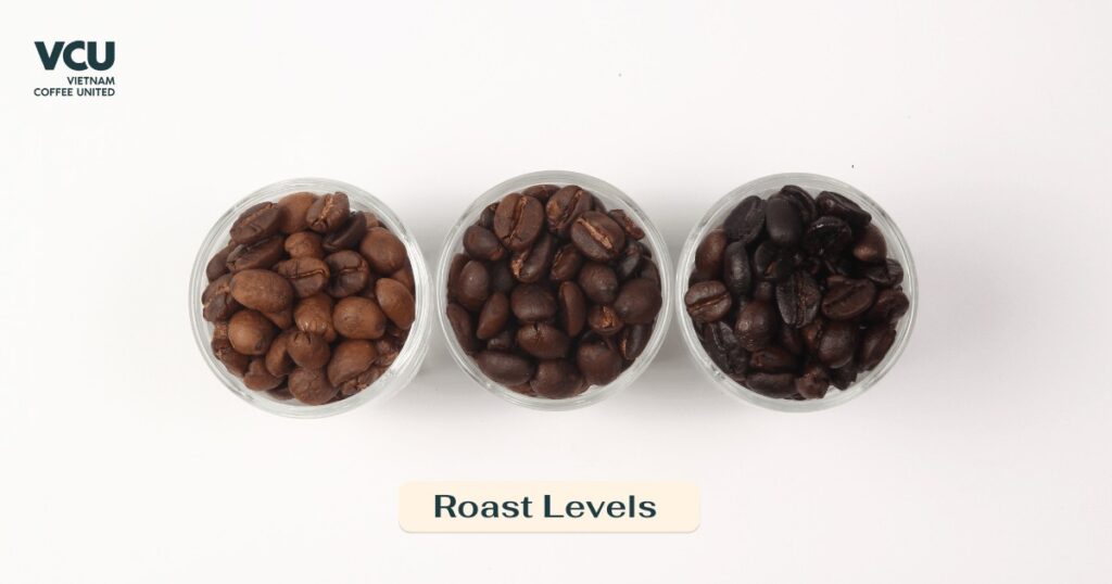 Coffee Roasting Levels - VCU - VietNam Coffee United