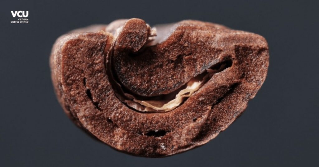 Understanding Coffee Density - VCU - VietNam Coffee United