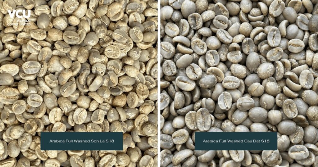 What Is Arabica Coffee? Classification Of Arabica Coffee - VCU ...