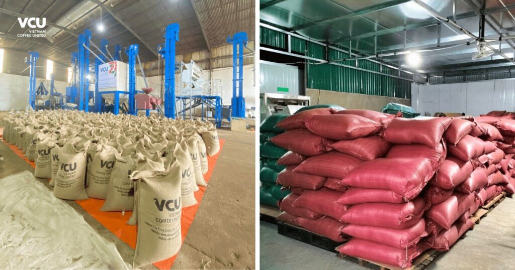 Basic Information About The Dry Processing Method - VCU - VietNam ...