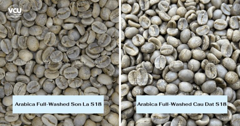 What Is Full Washed Process Coffee? - VCU - VietNam Coffee United