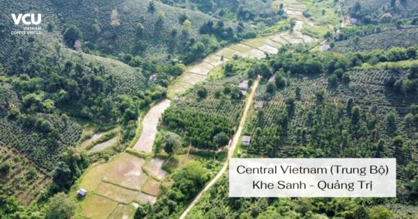 3 Famous Coffee-Growing Regions In Vietnam - VCU - VietNam Coffee United