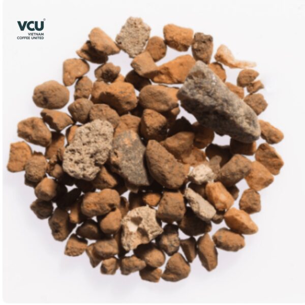 Common Types Of Defective Green Coffee Beans - VCU - VietNam Coffee United