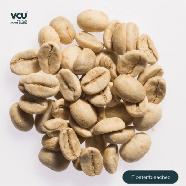 Common Types Of Defective Green Coffee Beans - VCU - VietNam Coffee United